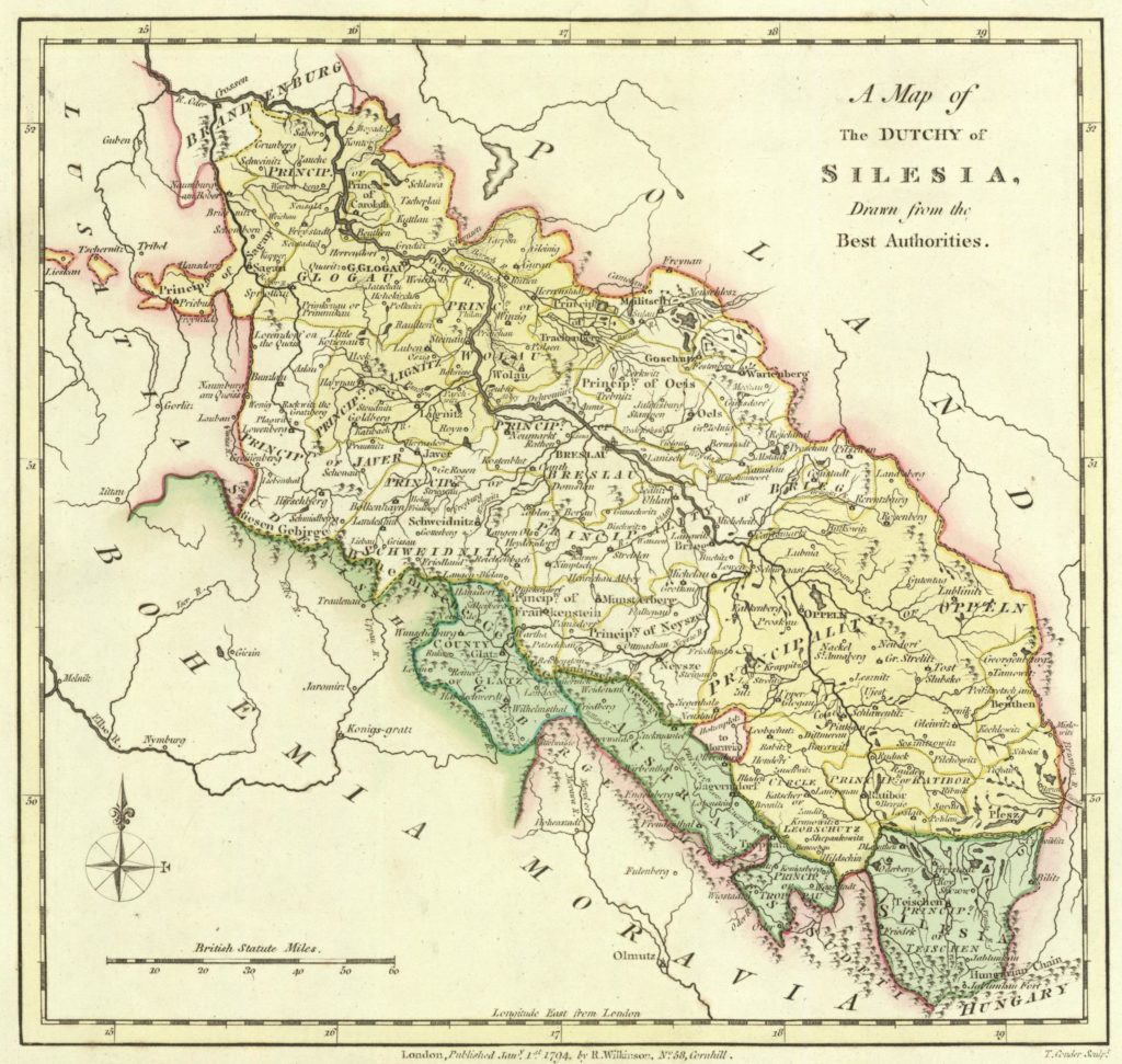 Projekt SILESIA | Silius Radicum